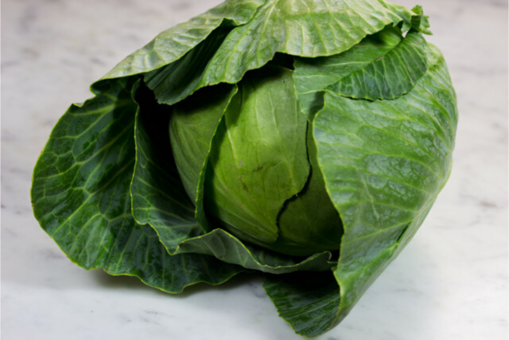 Keto Fried Cabbage And Knockwurst Recipe - Gluten Free Homestead